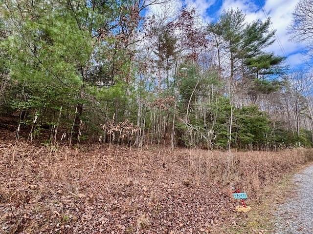 Lot 9 Timberline Road # 9