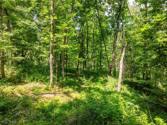Lot 9 Township Rd 51