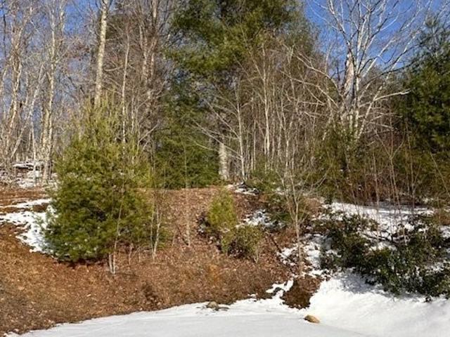 Lot 9 Trillium Lane