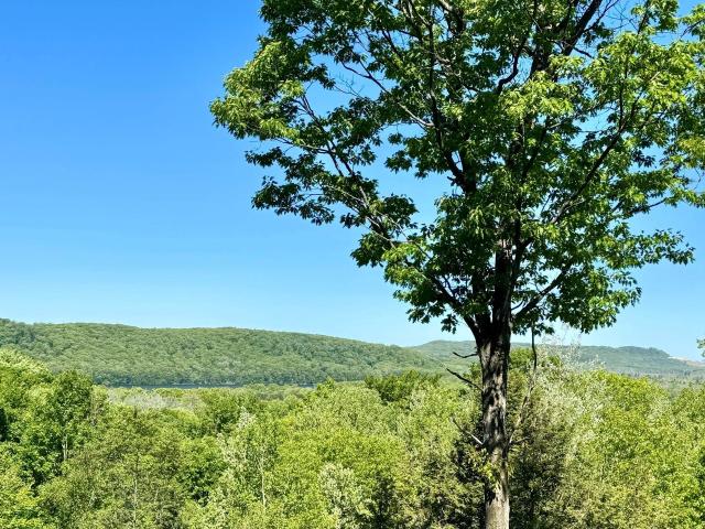 Lot 9 W Harbour Ridge # Lot: 9