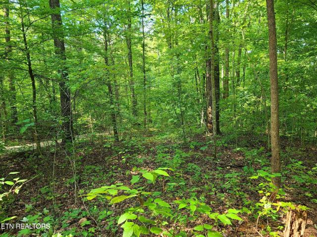 Lot 9 Walden Flats Way