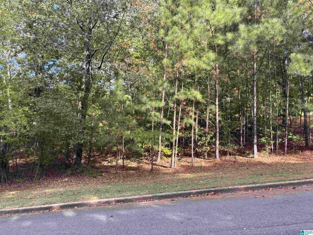 Lot 9 white oak circle # 9
