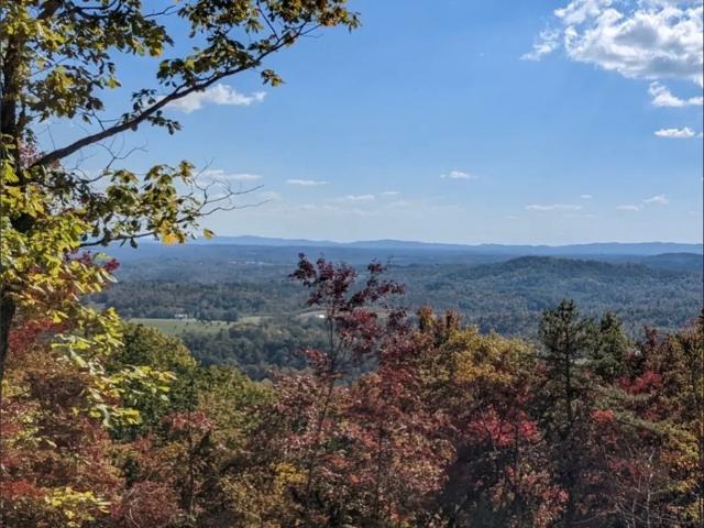 Lot # 9 Widow Mountain Drive