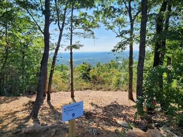 Lot #9 Widow Mountain Drive
