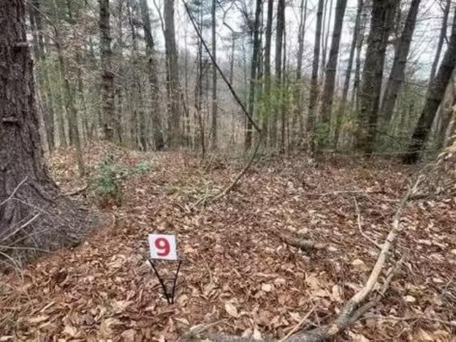 Lot 9 Woods Haven Ln, Stuart, VA 24171 MLS 1110831