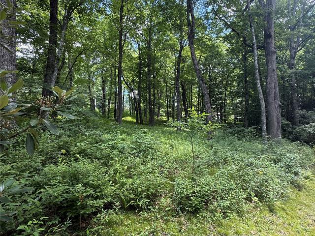 Lot 9 Apple Mountain Lane