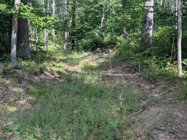 Lot 9 block 1 Fawn Lake Road
