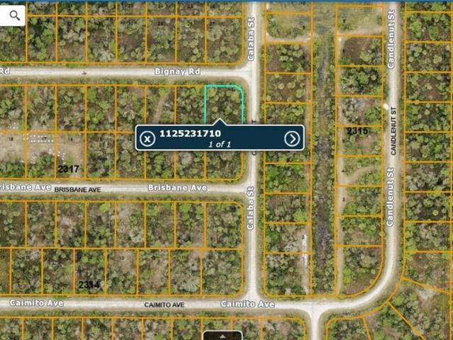 Lot 9 Calaba St Port, North Port, FL 34288 | MLS #2025005