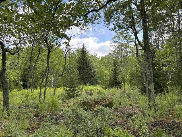 Chickadee Dr Lot 9, Davis, WV 26260