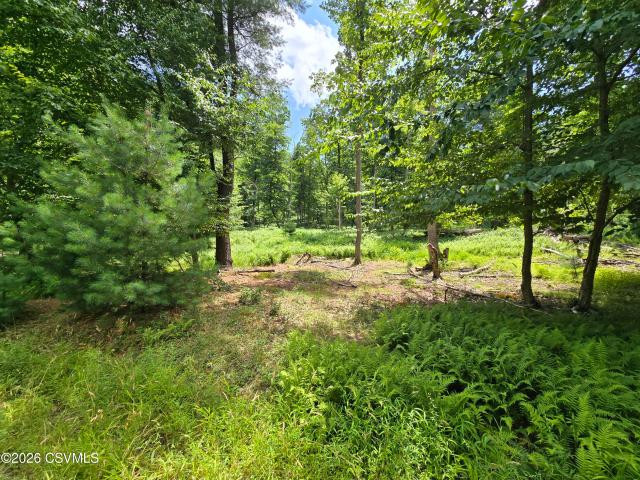 Lot 9 community pond drive
