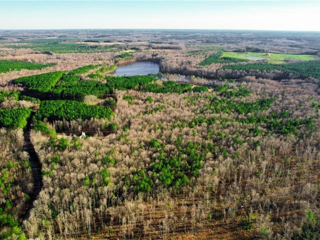 Lot 9 Colemans Lake Road