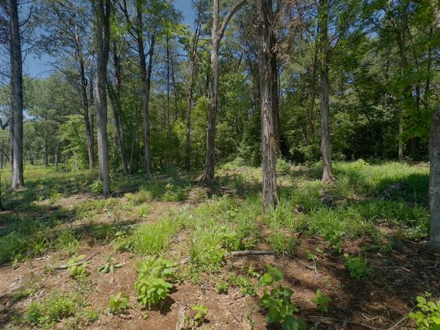 Lot 9 County Road 494
