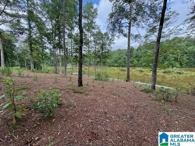 Lot 9 county road 499 # lot 8