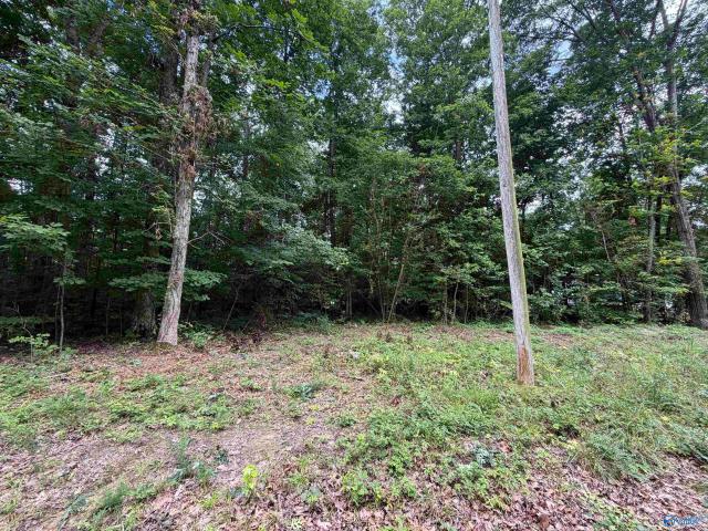Lot 9 County Road 567