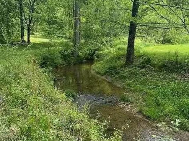 Lot 9 Clear Creek Preserve Way, Ellijay, GA 30536 MLS 7382259