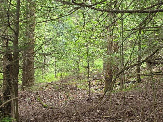 Lot 9 deep hollow run