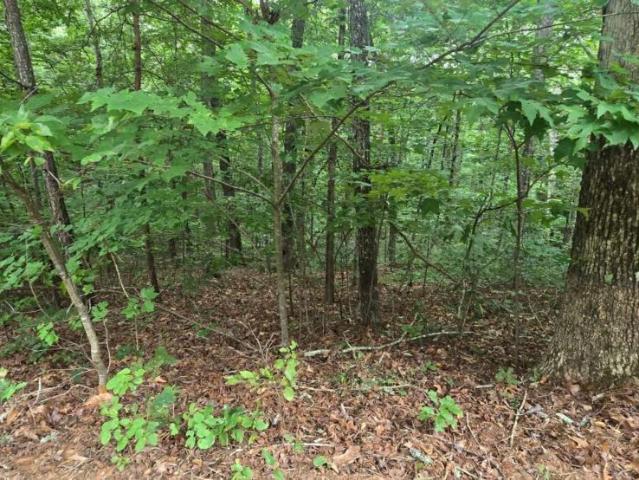 LOT 9 Harris Creek Drive