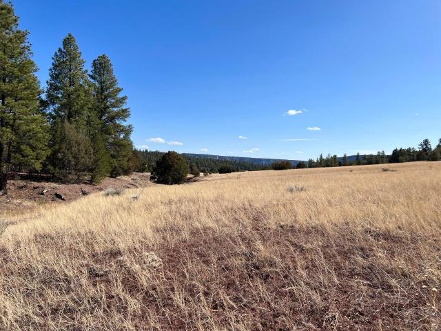 Lot 9 Juniper Drive
