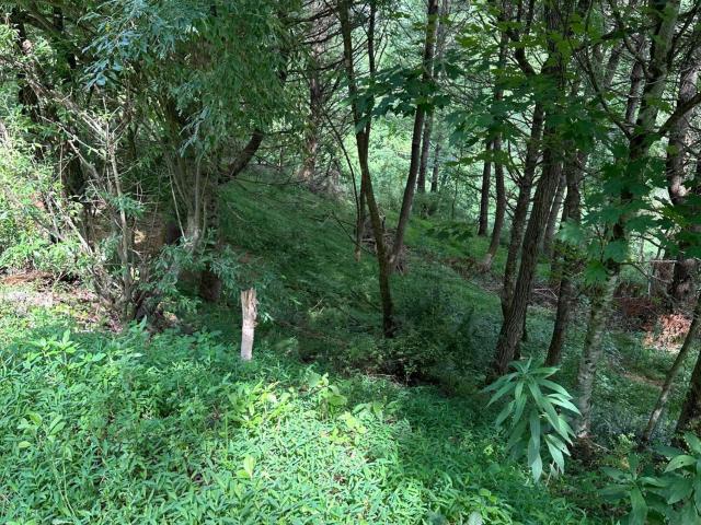 Lot 9 Laurelwood Lane