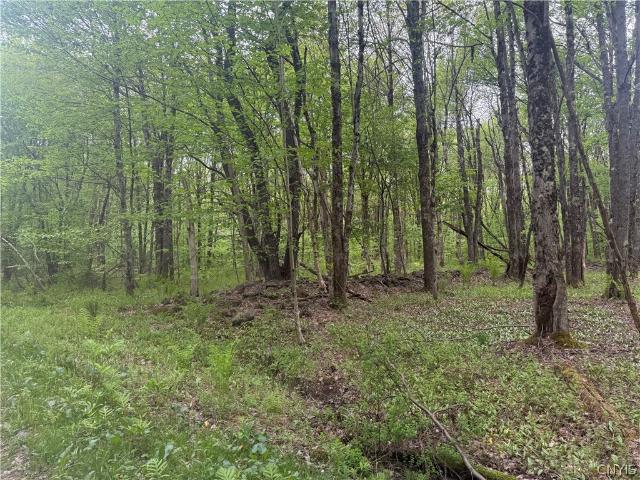 Lot #9 Lost Ridge Road # 9