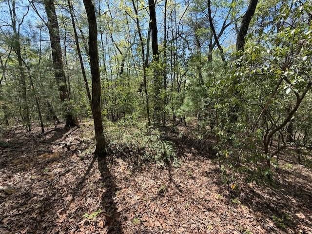 Lot 9 Marjorie Ave, Ellijay, GA 30536 | MLS #429574
