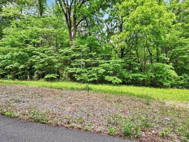 Lot 9 Mill Creek Rd