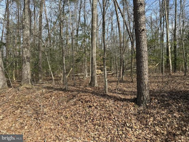 Lot 9 Park Ave, White Plains, MD 20695 | MLS #MDCH2052