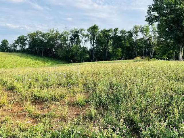 Lot 9 Park Avenue, Somerset, KY 42501 649867842