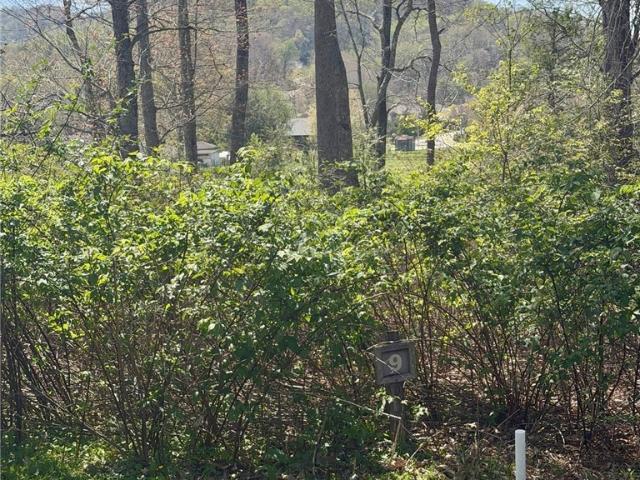 Lot 9 Pasture Lane