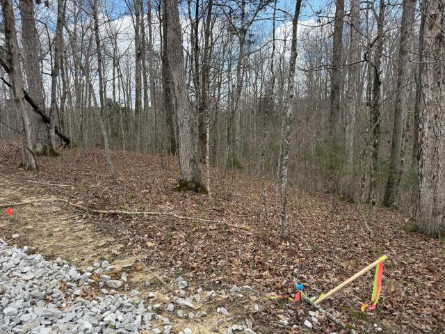 Lot 9 Phase 2 Stearns Hollow Road