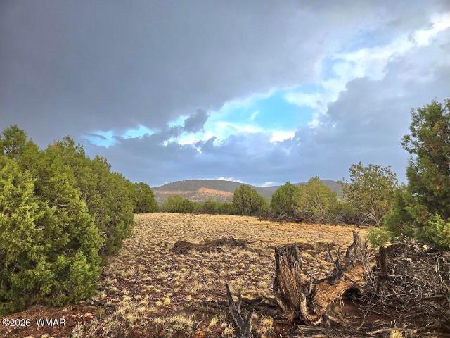 Lot 9 Pinon Valley Ranch
