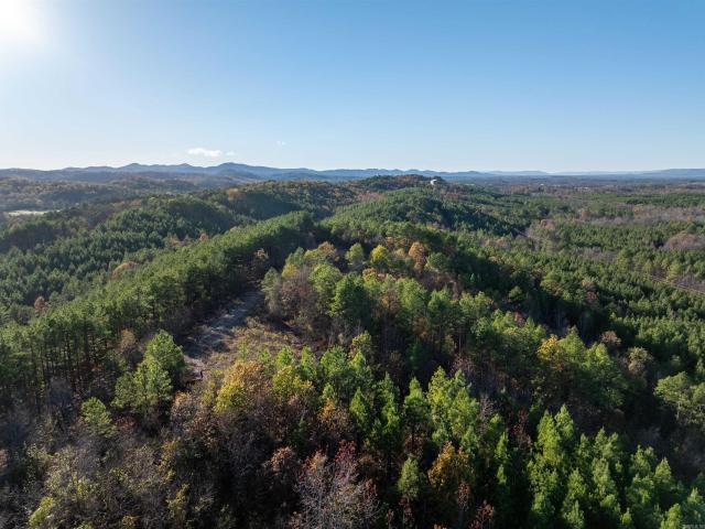 Lot 9 Polk Road 617