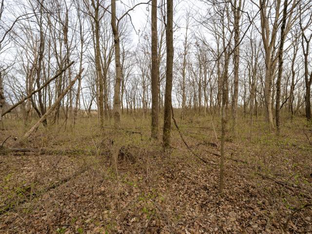 Lot 9 Raintree Woods Dr, Urbana, IL 61802 | MLS #12597 | Compass