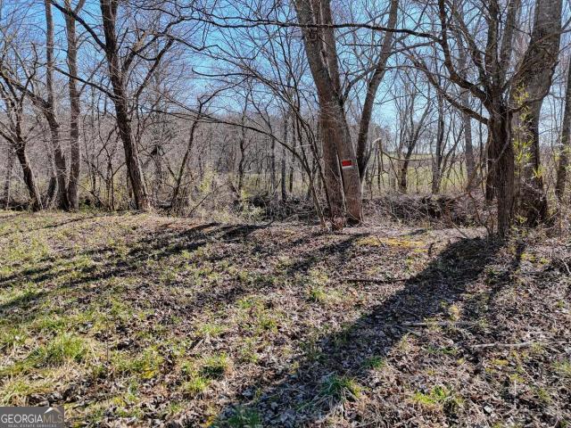 Lot 9 Riverside, Blairsville, GA 30512 | MLS #10485