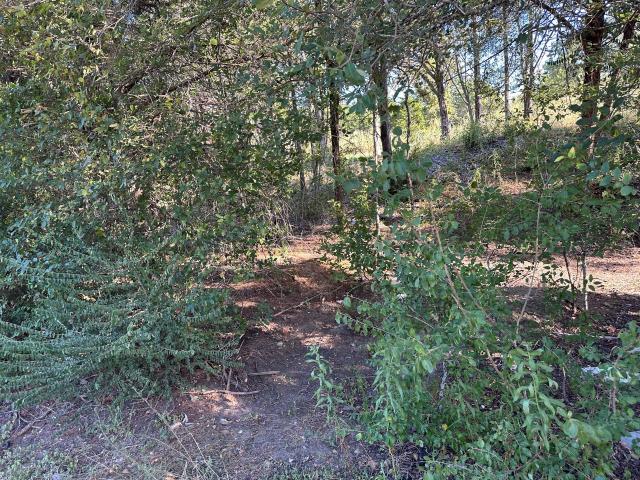 LOT 9 Robin Run
