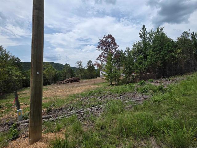 Lot 9 Scenic View