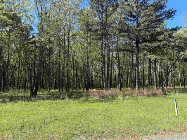 Lot 9 Shiloh Landing Pointe