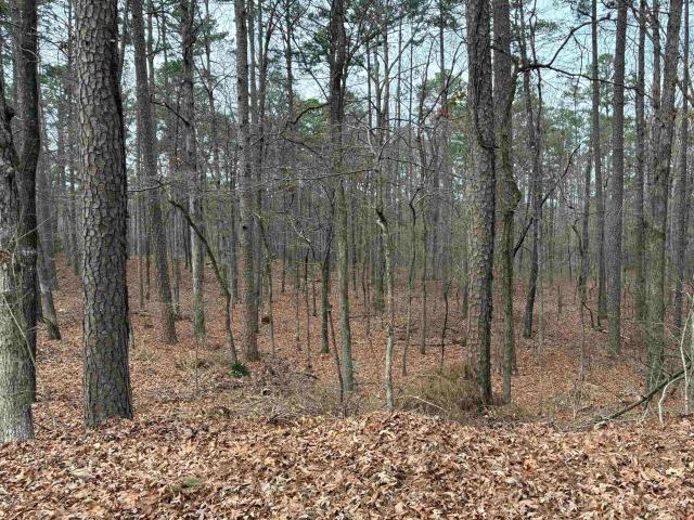 Lot 9 Silleda Ln