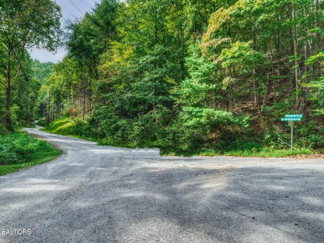 Lot 9 Stepping Stone Drive, Sevierville, TN 37862
