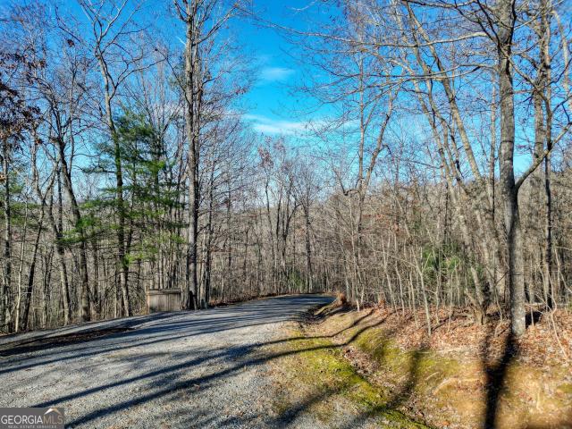 Lot 9 Sunrise Ct, Blue Ridge, GA 30513 | MLS #10690