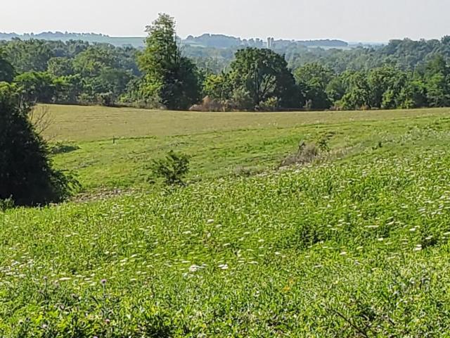 Lot 9 Sunrise Ln, Fort Loudon, PA 17224 | MLS #PAFL167690