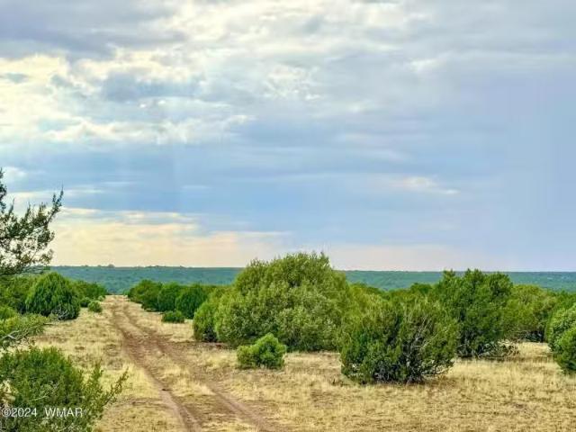 Lot C 5 Silver Lake 8.16 Acres, Show Low, AZ 85901