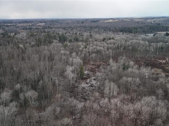 Lot c W Dryden Rd, Freeville, NY 13068 | MLS #S1660