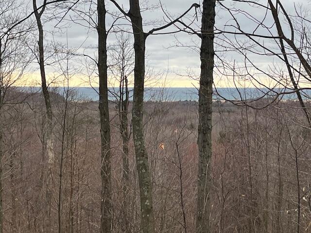 Lot C Silver Vista