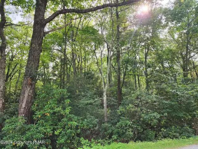 Lot A48 White Pine Rd&Red Oak, Jim Thorpe, PA 18229 655062375