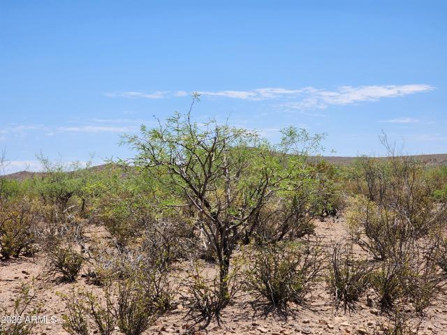 Lot a Bowers Road # 21