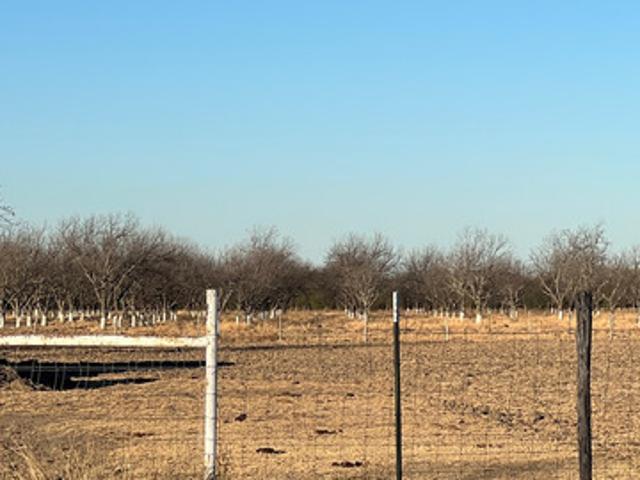 LOT A Fm 1908