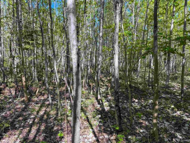 Lot A Gratiot River Road