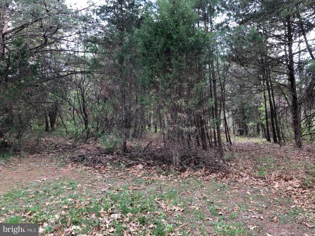 Lot a Nadenbousch Ln, Inwood, WV 25428 | MLS #WVBE2050