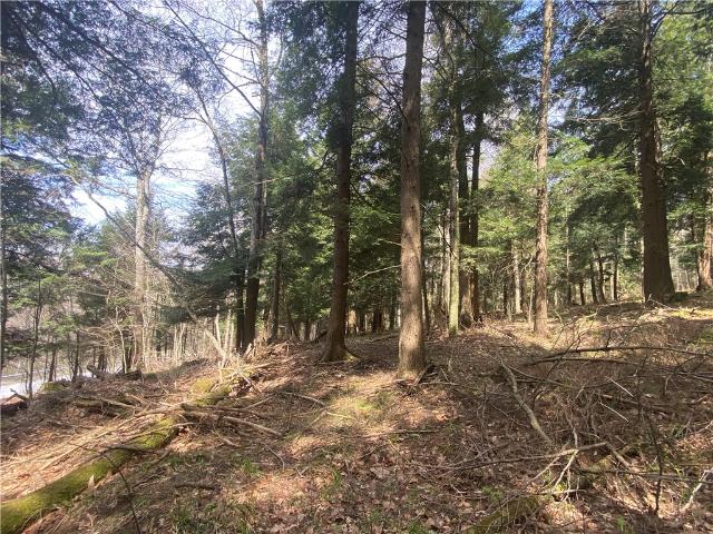 Lot A Piermott Lane